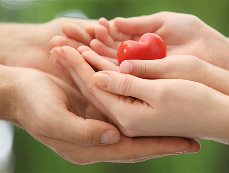 Seattle Family Law & Divorce Attorney | Wakefield Legal
